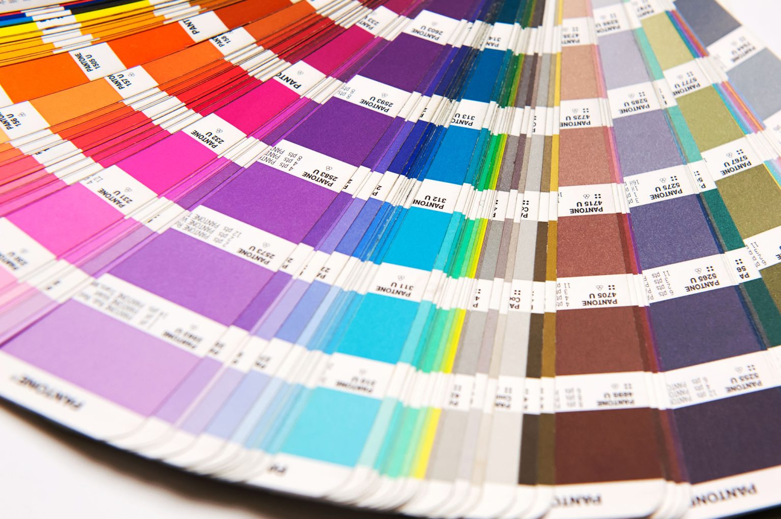 Conoce todo lo relacionado con los Colores Pantone