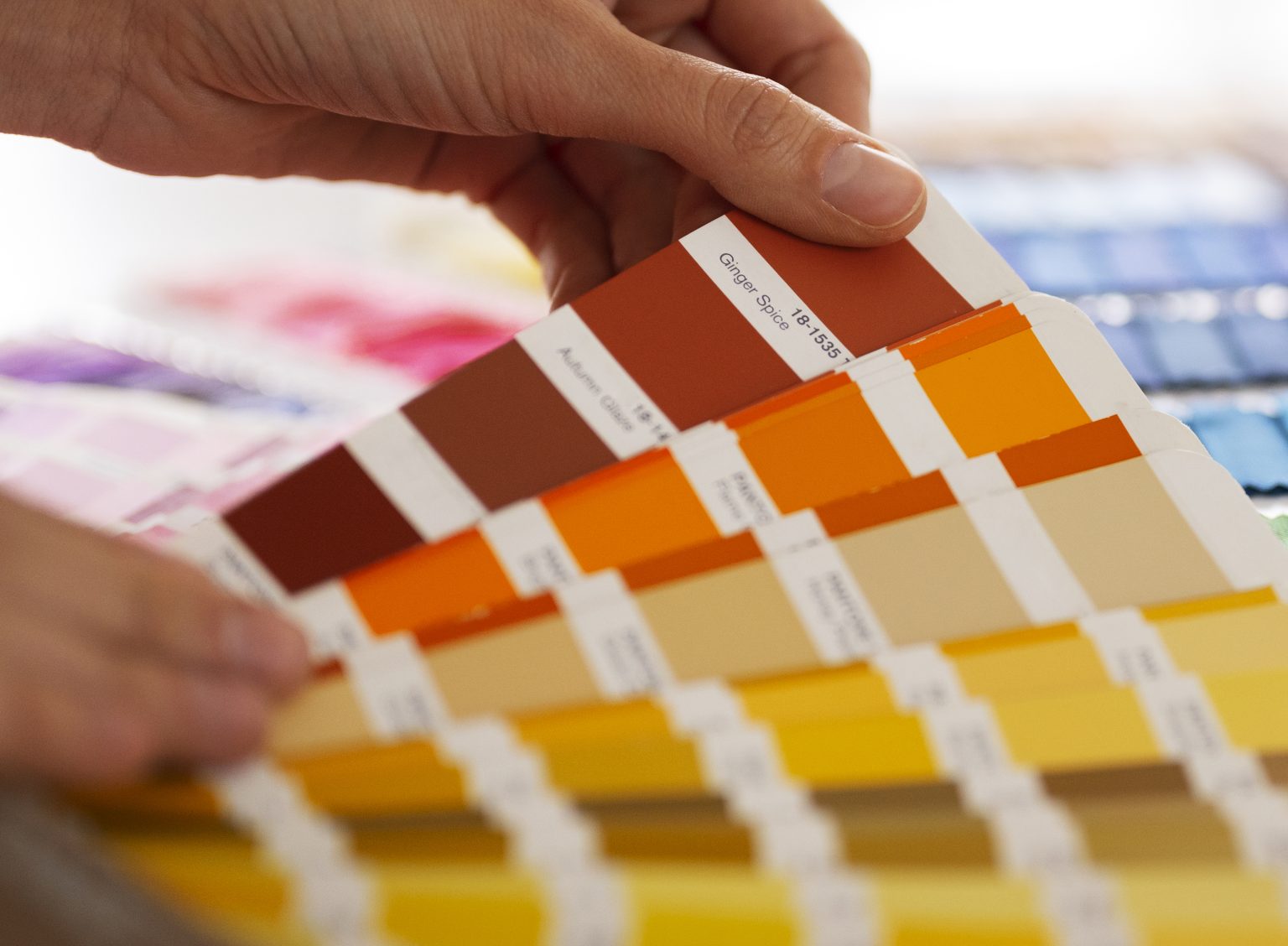 Conoce todo lo relacionado con los Colores Pantone